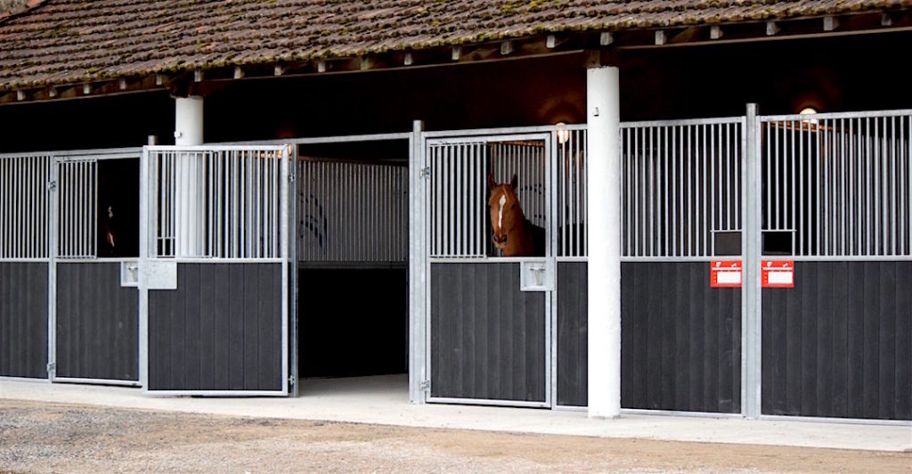 Façade de box pour chevaux porte battante 1 volet - Doitrand Equestre