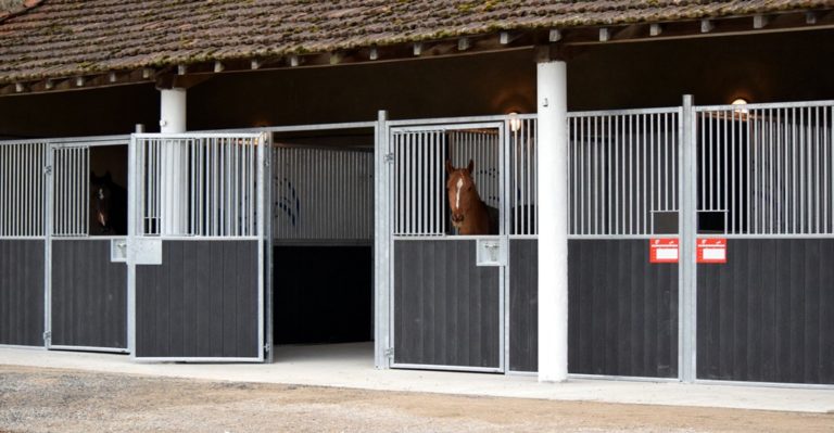 Hinged stall doors with shutters for the head passage and dark greay ...