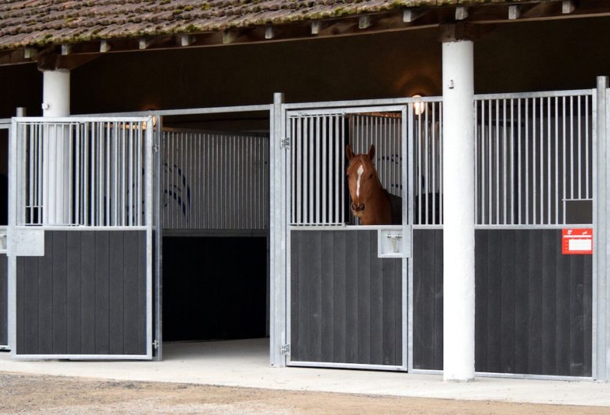 Façades de boxes chevaux : quel modèle choisir ? - Doitrand Equestre