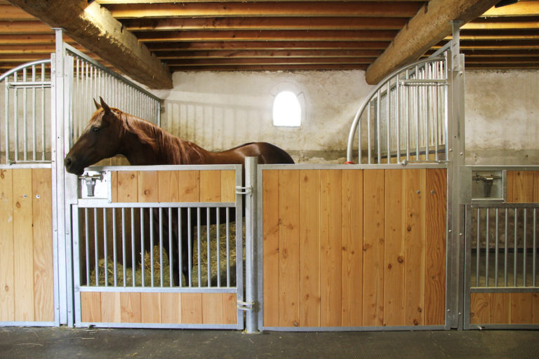 Façade de box pour chevaux modèle Quarter - Doitrand Equestre