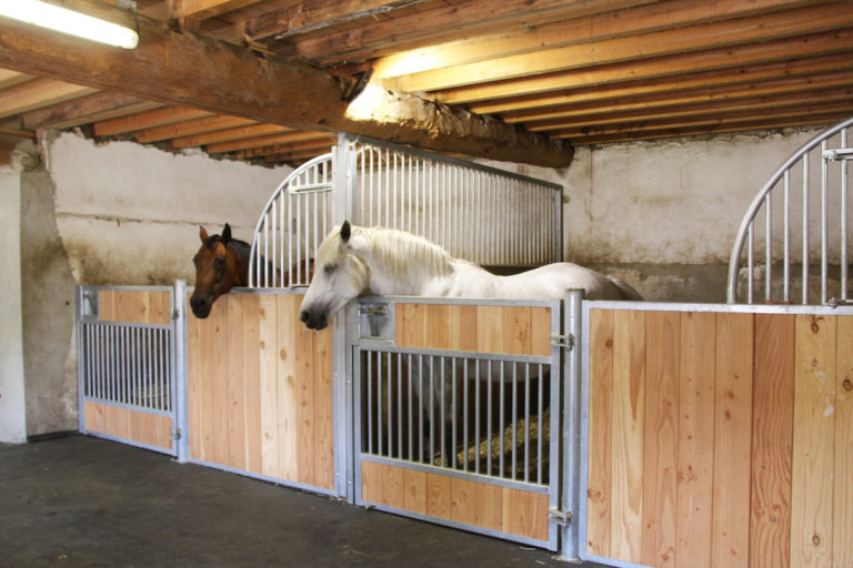 Façade de box pour chevaux modèle Quarter - Doitrand Equestre