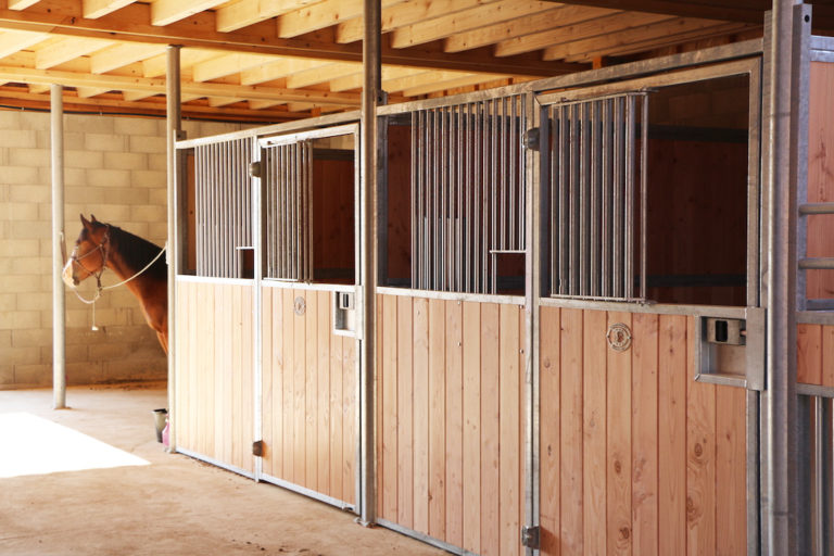 Façade de box pour chevaux porte battante 1 volet - Doitrand Equestre