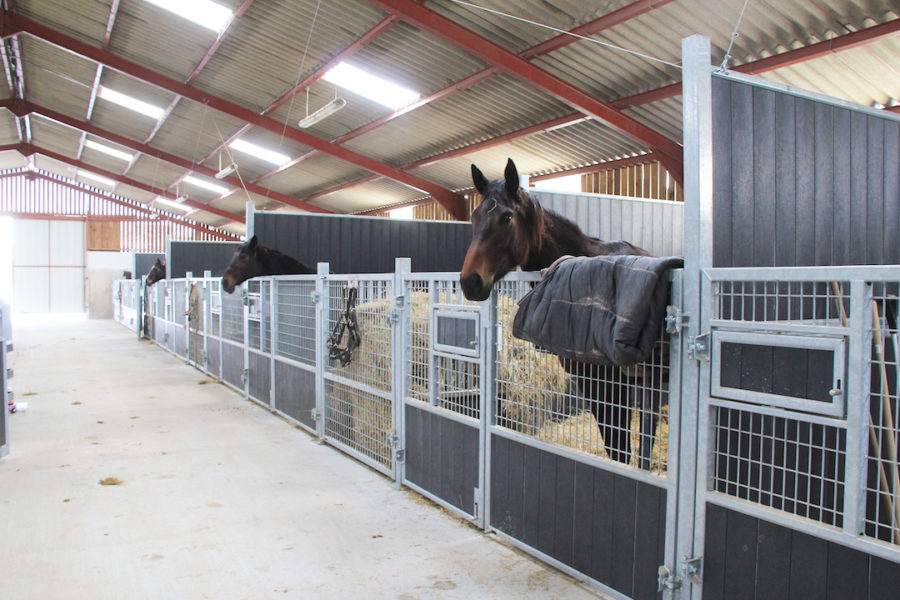 Façade de box pour chevaux grillagée - Doitrand Equestre