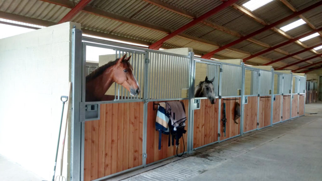 Façade de box pour chevaux porte battante 1 volet - Doitrand Equestre